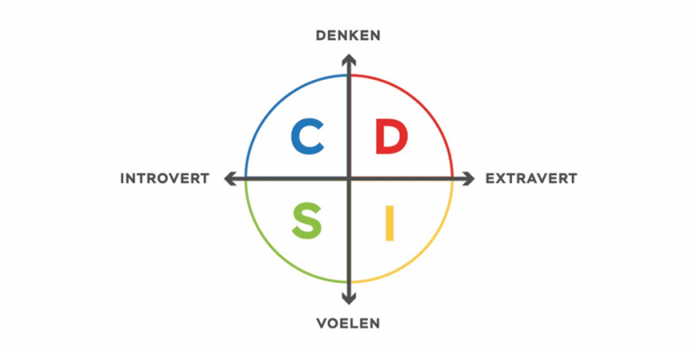 De DISC analyse - WerkFijn
